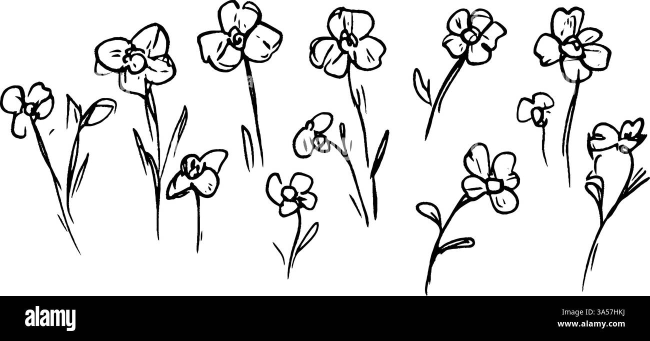 A collection of hand-drawn flowers in various sizes and positions ...