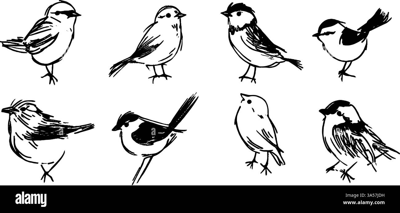 Retro wildlife illustrations hi-res stock photography and images - Alamy