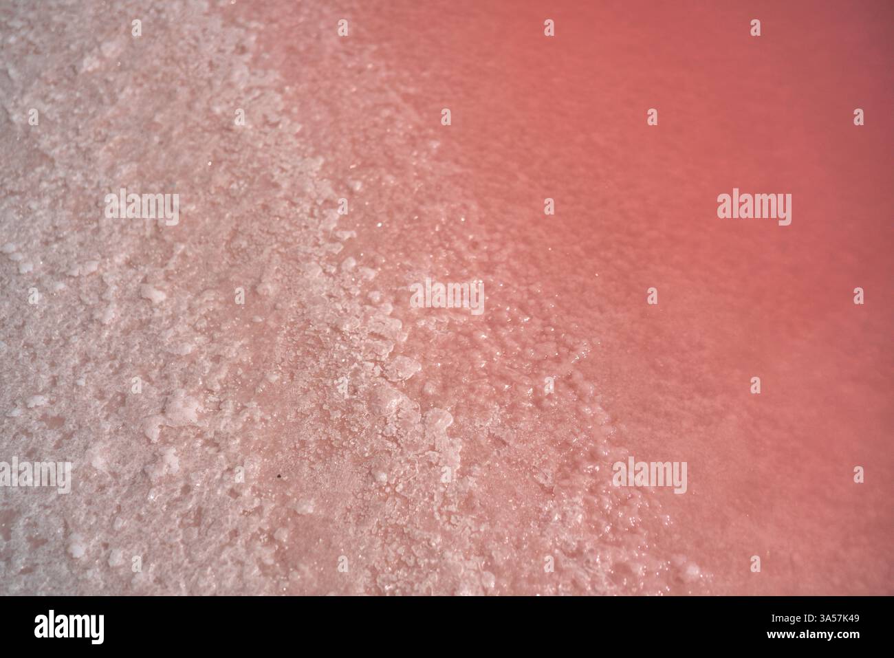 Salt Lake Pink Water Australia Aerial view: Halophilic bacteria cause ...