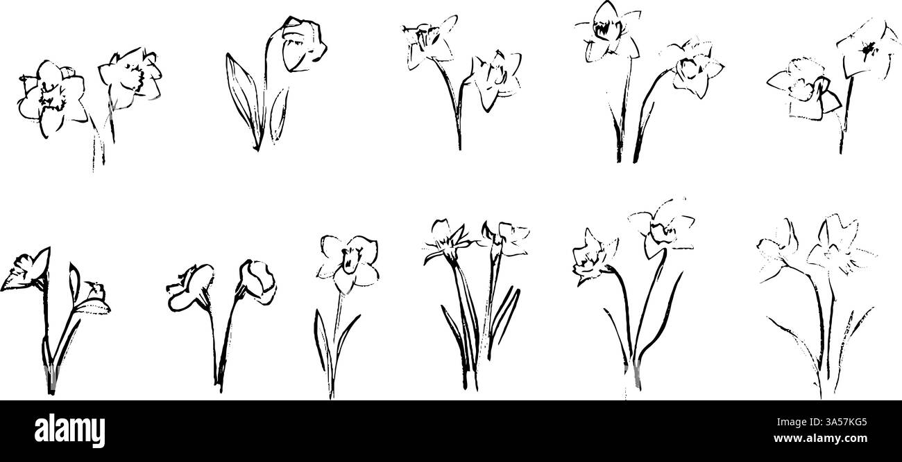 A collection of hand-drawn sketches of various flowers, showcasing ...