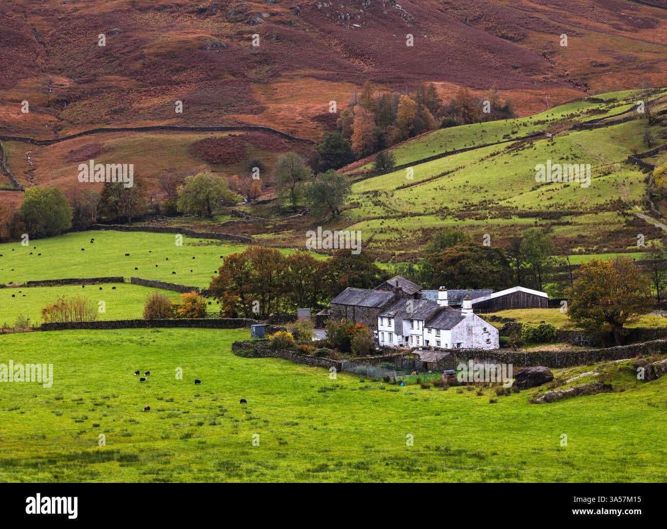 Lake District Farm Stock Photo - Alamy