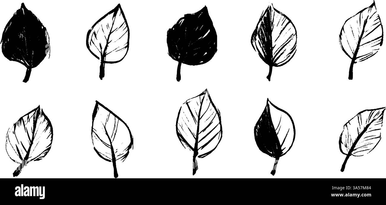 Hand-Drawn Leaf Illustrations Collection Stock Vector Image & Art - Alamy