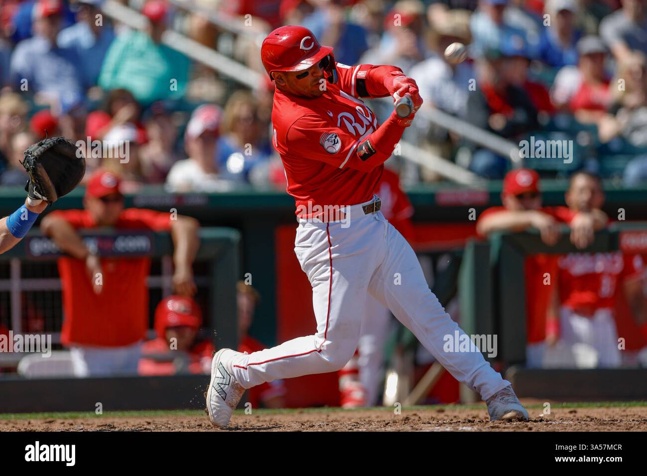 Goodyear, AZ. USA; Cincinnati Reds catcher Jose Trevino (35) flies out ...