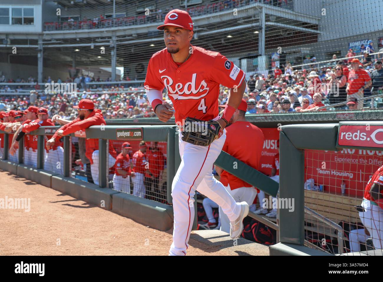 Goodyear, AZ. USA; Cincinnati Reds third base Santiago Espinal (4) runs ...