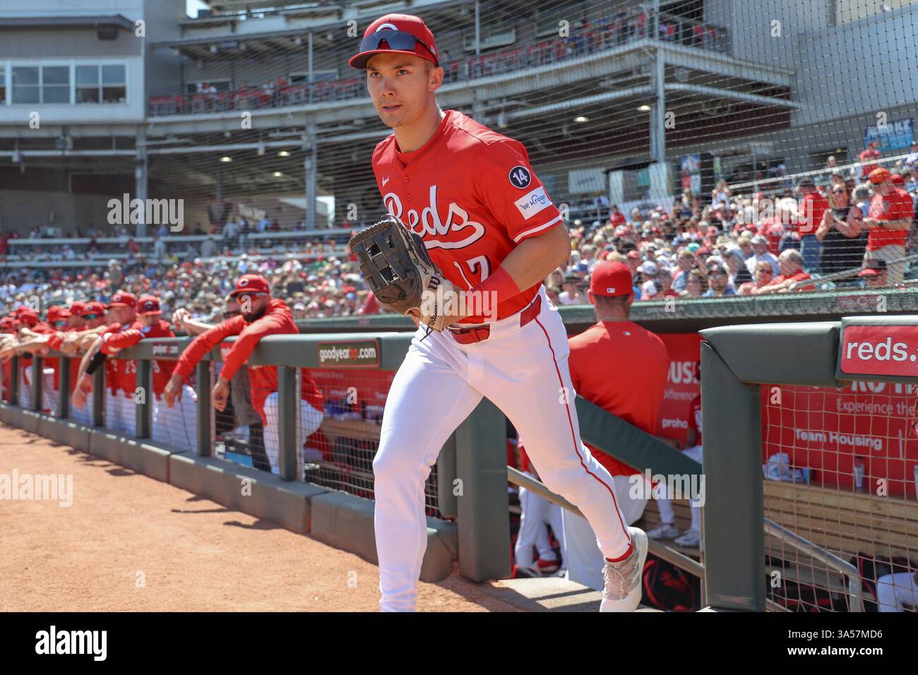 Goodyear, AZ. USA; Cincinnati Reds outfielder Stuart Fairchild (17 ...