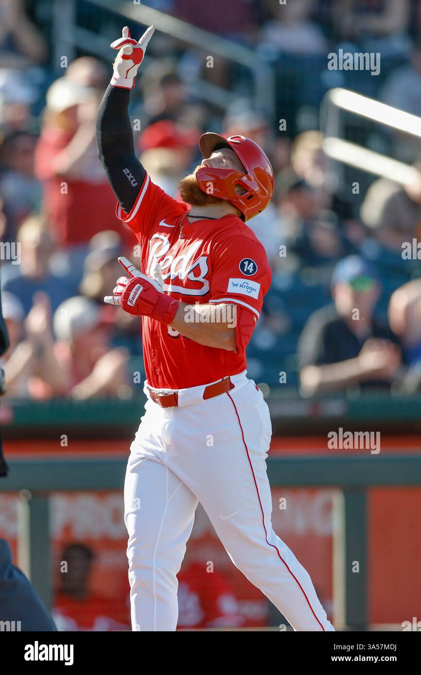 Goodyear, AZ. USA; Cincinnati Reds outfielder Blake Dunn (59) homers to ...