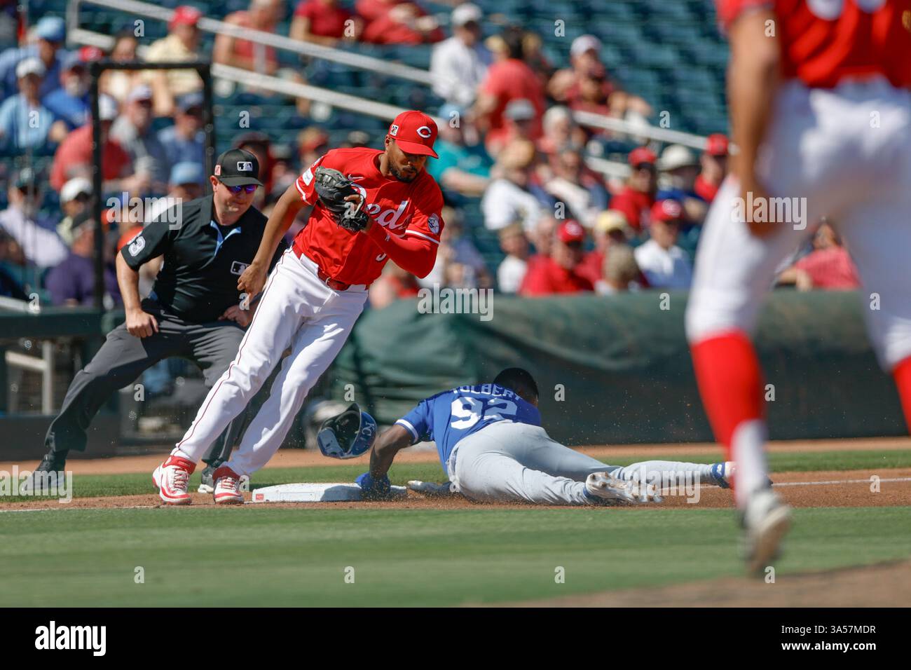 Goodyear, AZ. USA; Kansas City Royals shortstop Tyler Tolbert (92 ...