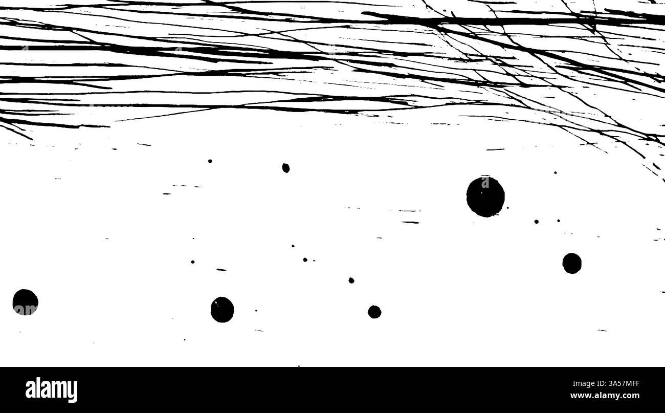 An Abstract Black And White Composition Featuring Thin Lines And Circular Shapes On A White