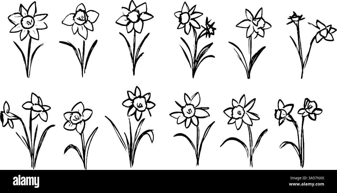 A collection of hand-drawn daffodil flowers in various styles and ...