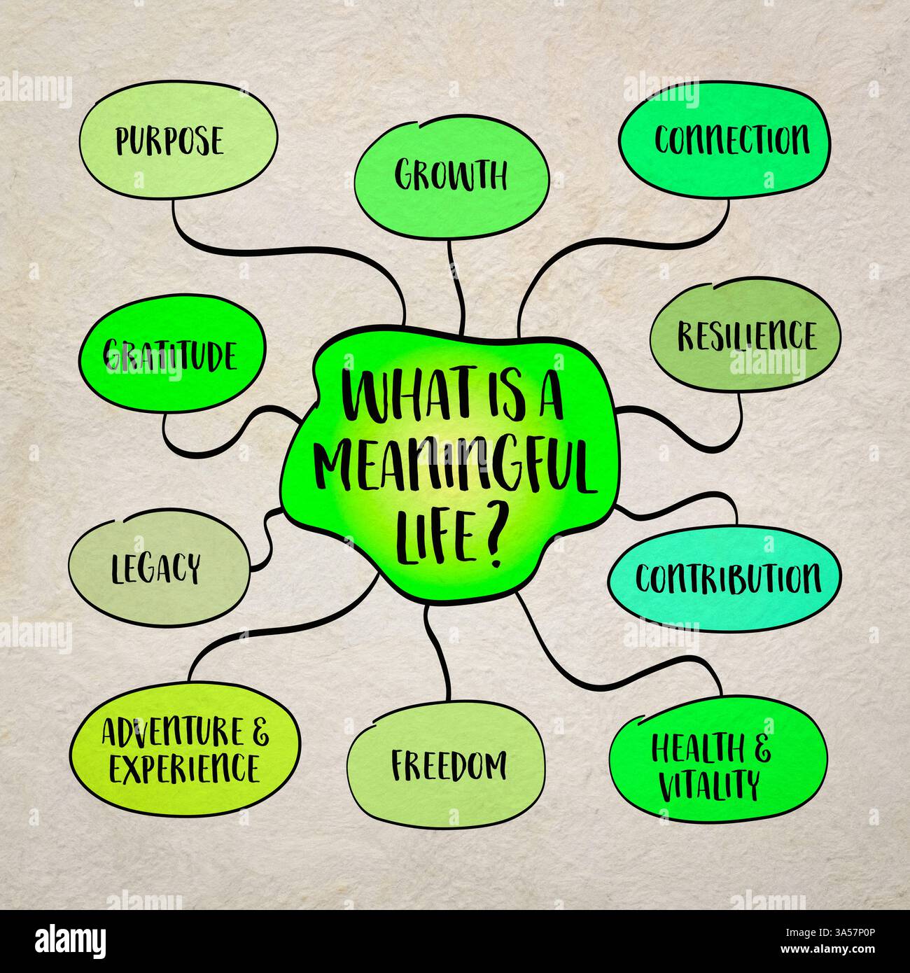 What is a meaningful life? A timeless philosophical inquiry that has ...