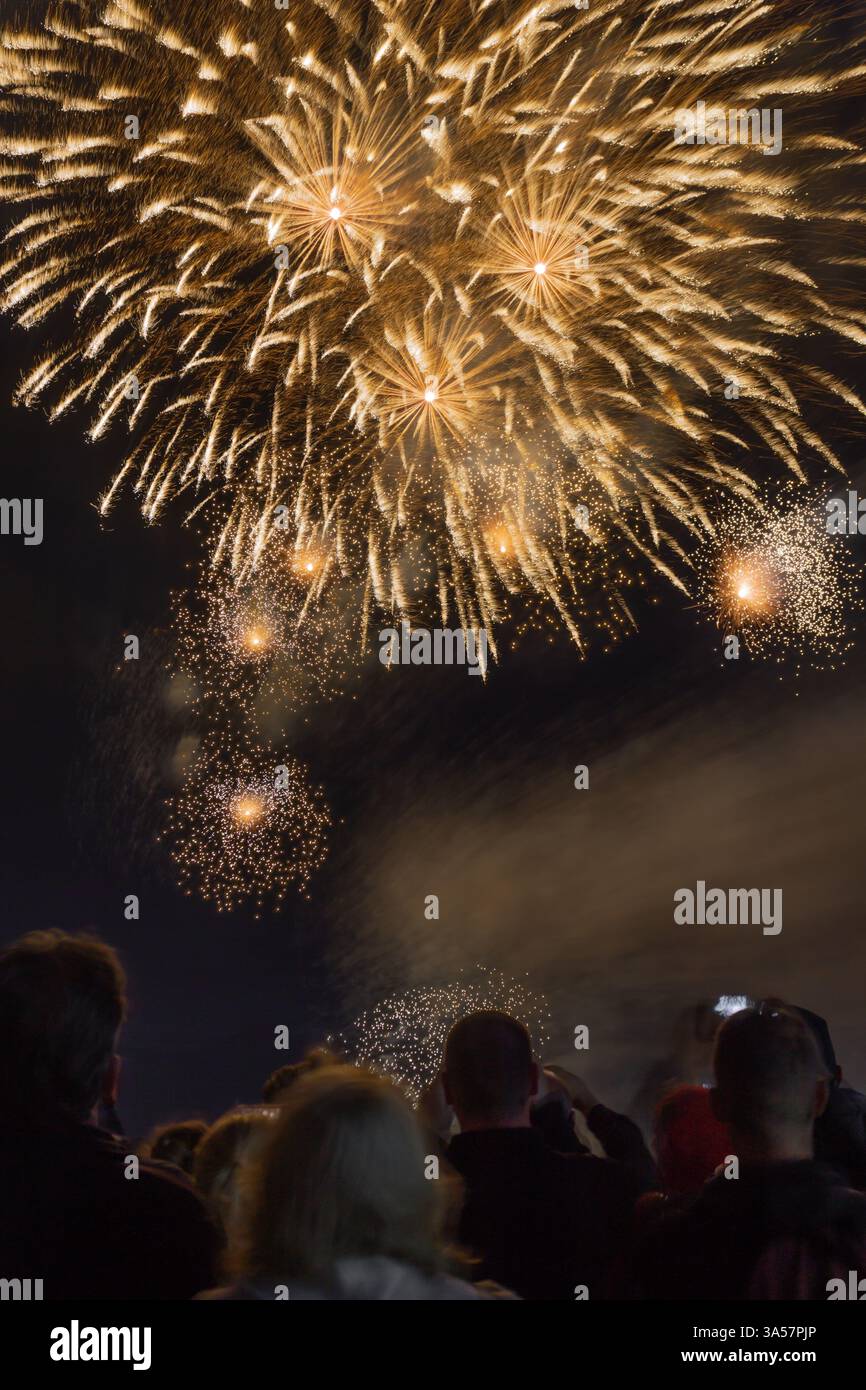 A mesmerizing fireworks display lights up the night sky as a captivated ...
