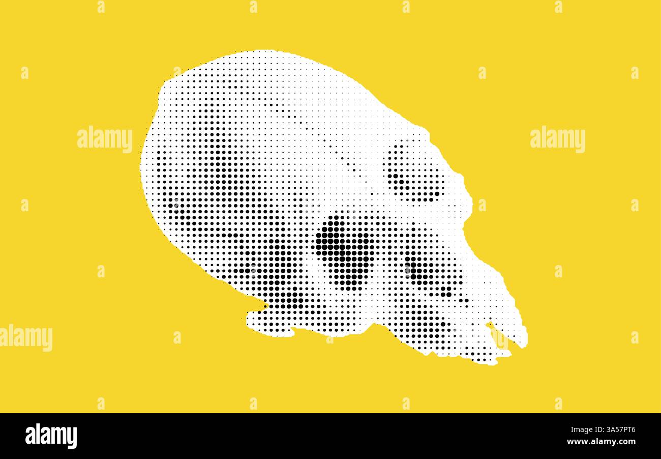 Stylized Skull Illustration on Yellow Background Stock Vector Image ...