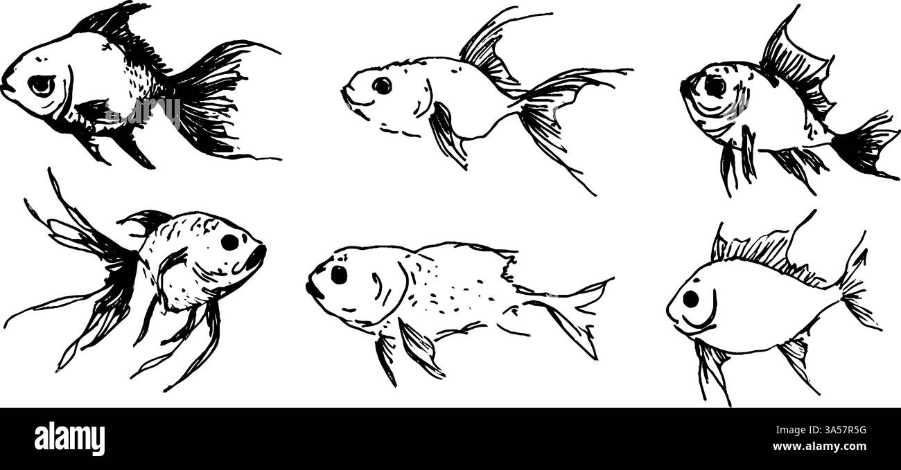 Hand drawn stylized fish Black and White Stock Photos & Images - Alamy