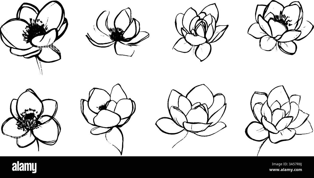 Hand-Drawn Lotus Flower Sketches Collection Stock Vector Image & Art ...