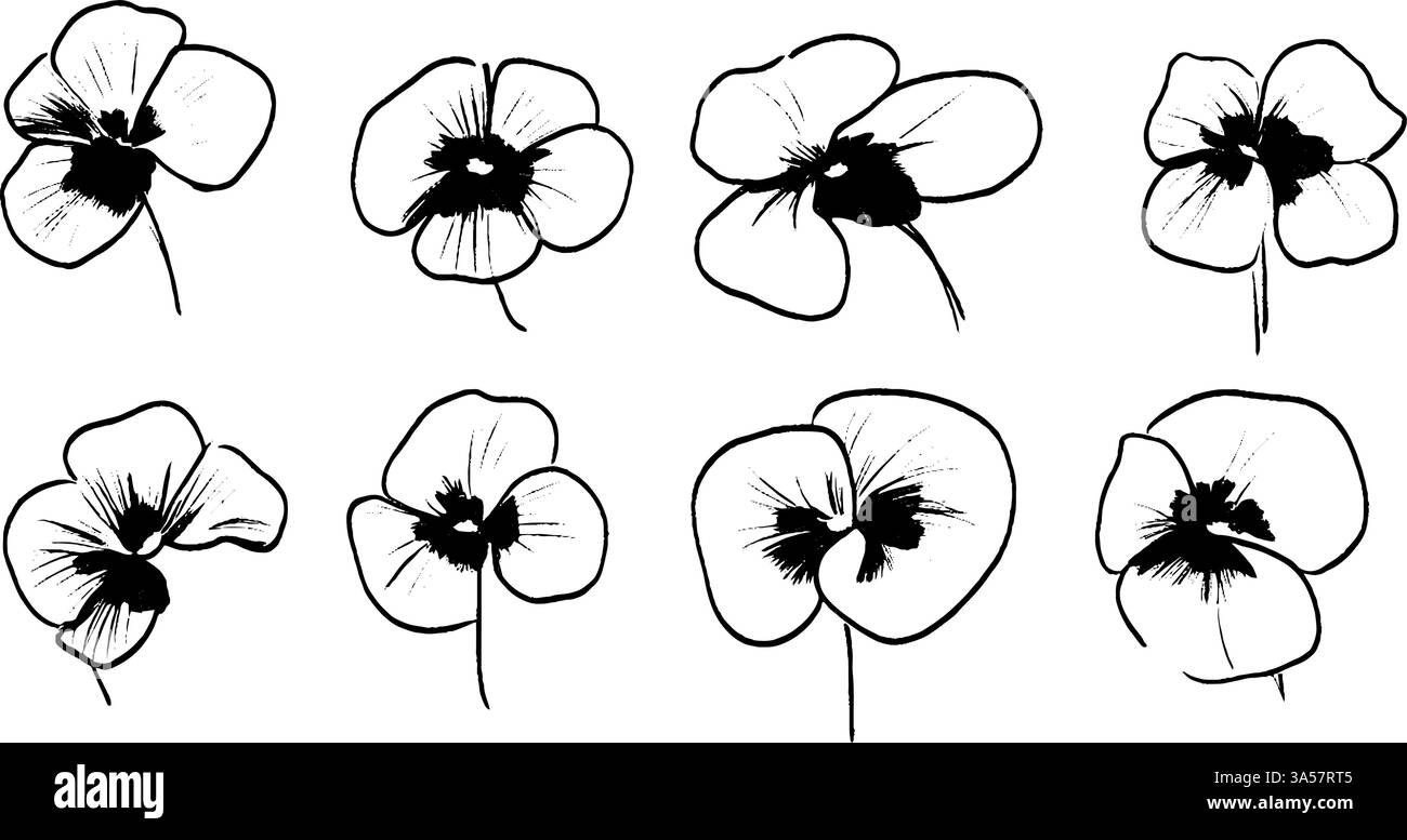 A collection of hand-drawn flower illustrations featuring various ...