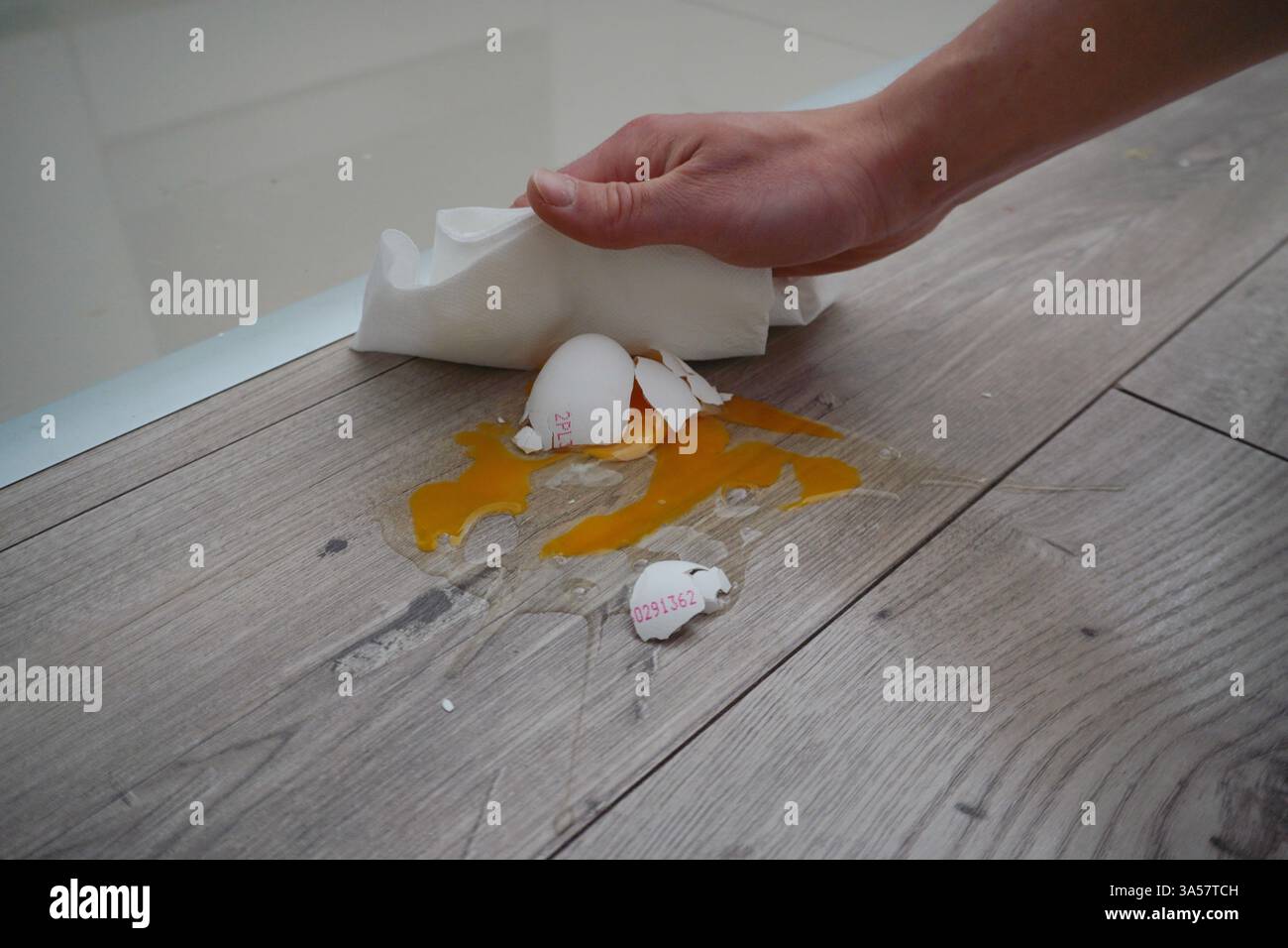Close up white egg fall and broken on wooden floor. crushed egg with ...