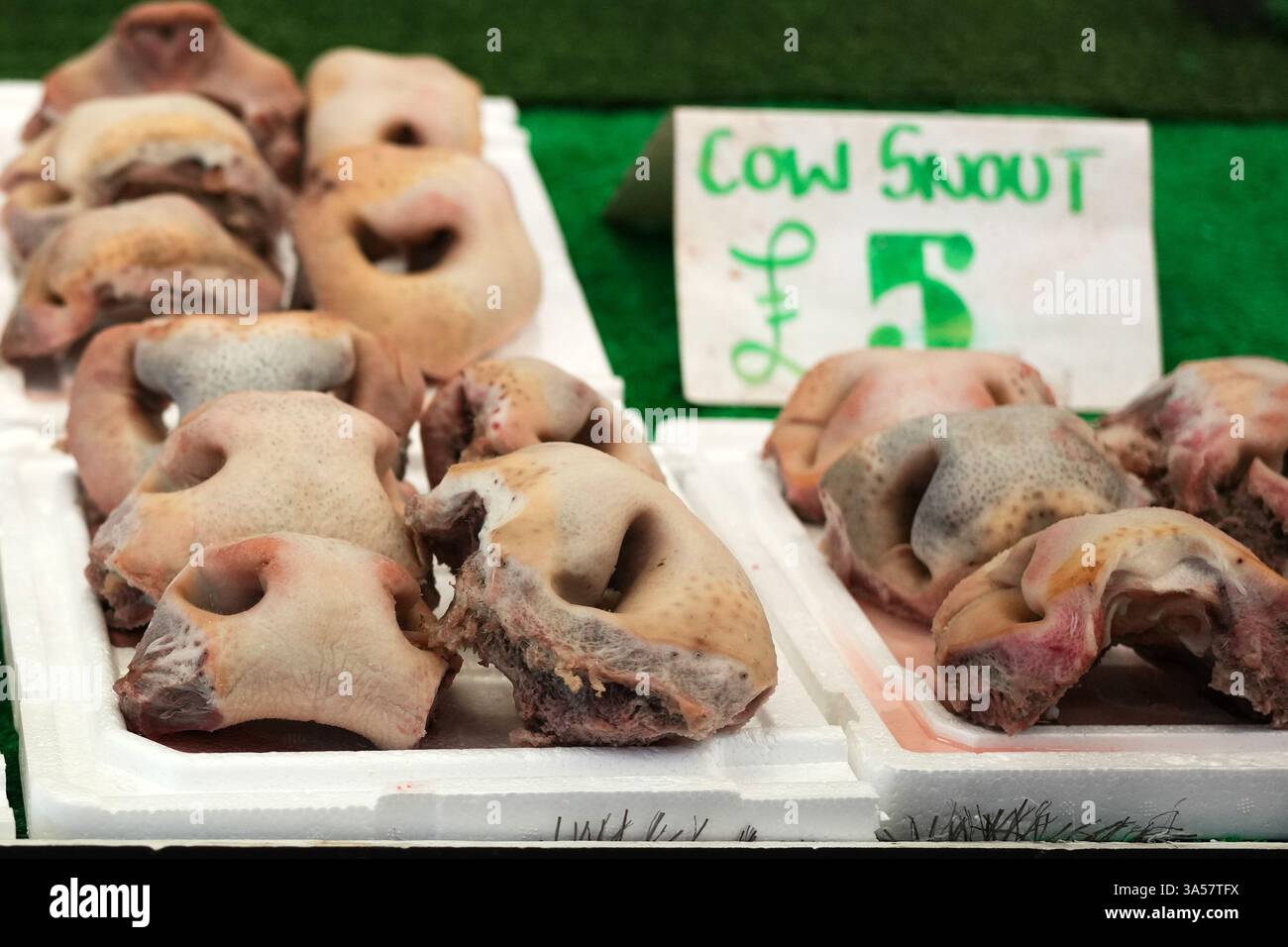 Cow snoot hi-res stock photography and images - Alamy