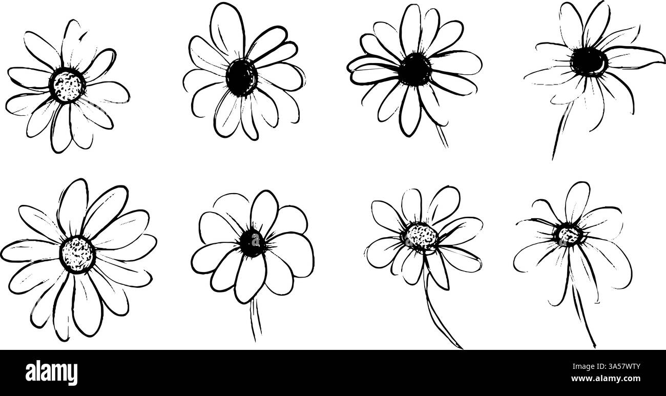 A collection of hand-drawn daisy flowers in various styles and ...