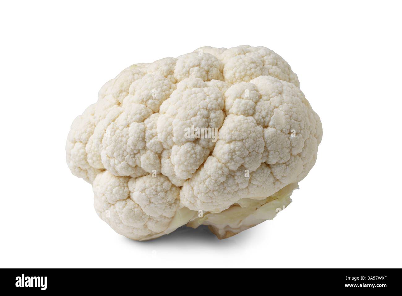 Whole head of organinc fresh raw cauliflower close up, macro isolated ...