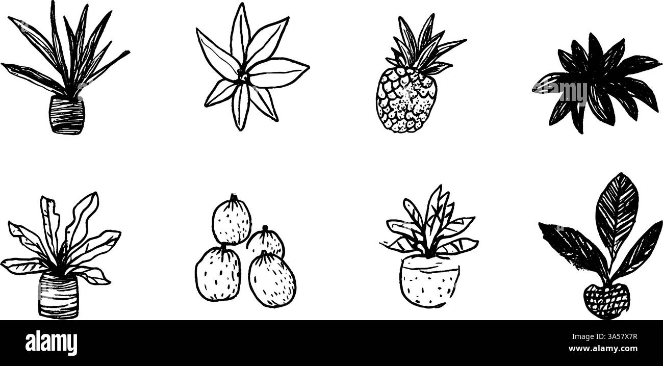 Whimsical Hand-Drawn Plants and Fruits Collection Stock Vector Image ...