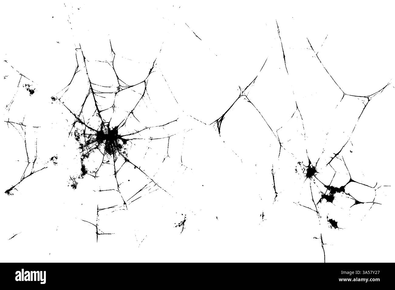 Vector grunge texture of spider web on dark background. Black seamless ...