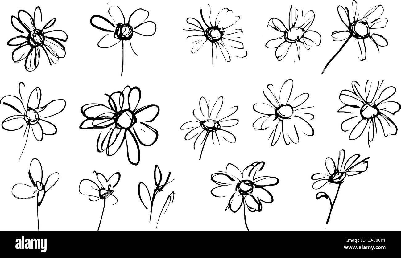A collection of hand-drawn sketches of flowers, showcasing various ...