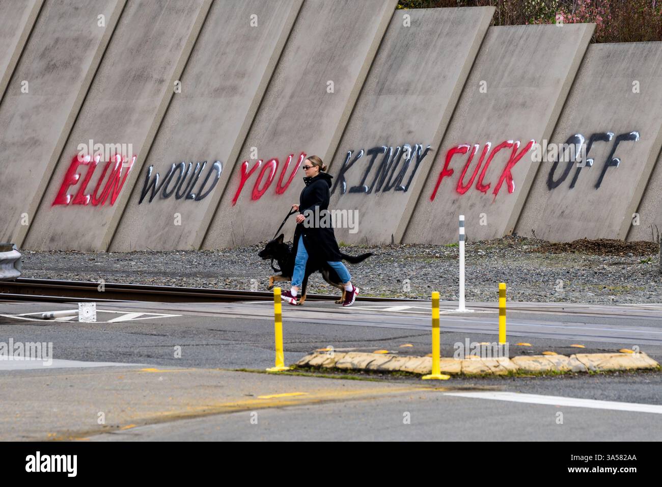 Seattle, USA. 21st Mar 2025. Anti Elon Musk graffiti on the Seattle ...
