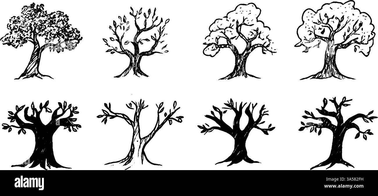 Collection of Hand-Drawn Trees in Various Styles Stock Vector Image ...