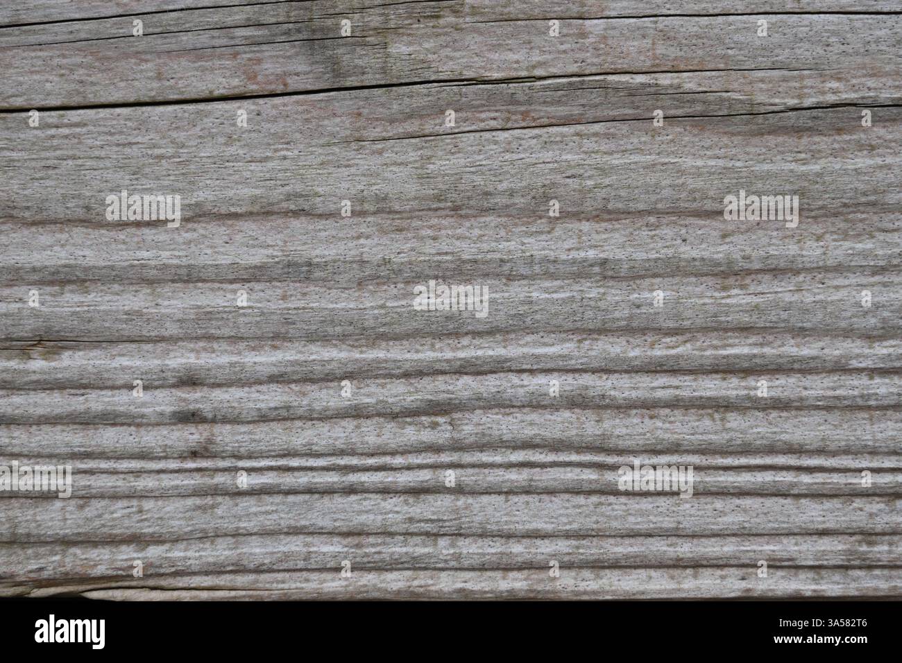 The image is of a wooden surface with a grainy texture. The wood ...