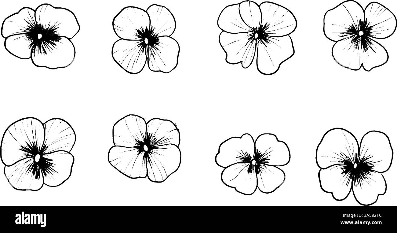 A collection of eight hand-drawn flower illustrations, featuring ...