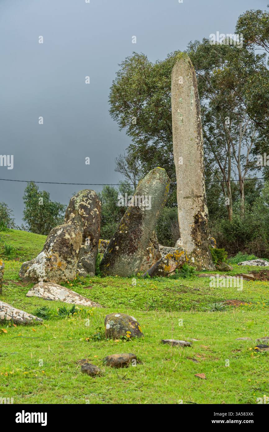 M'zora cromlech and menhir, megalithic enclosure, Middle Neolithic ...