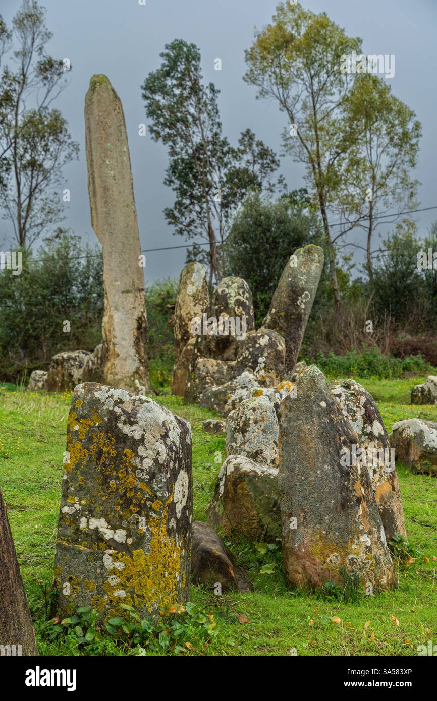 M'zora cromlech and menhir, megalithic enclosure, Middle Neolithic ...
