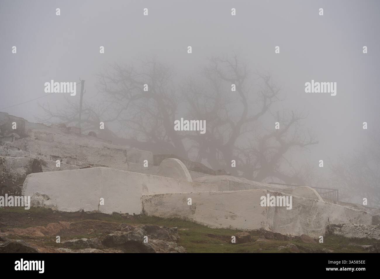 Tomb and shrine of Moulay Abdeslam ben Mchich, Moroccan Sufi saint ...