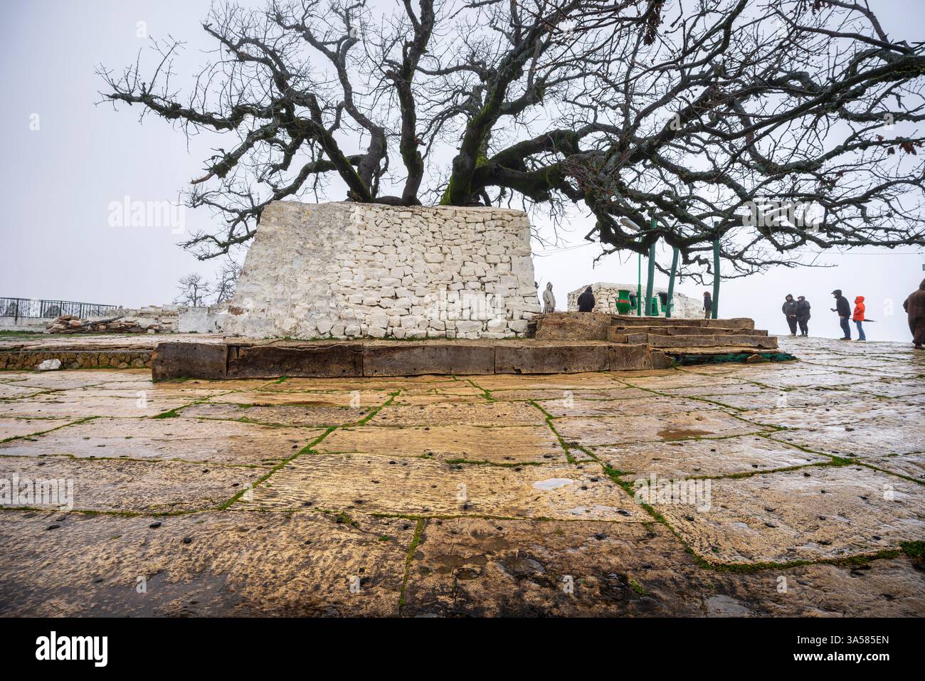 Tomb and shrine of Moulay Abdeslam ben Mchich, Moroccan Sufi saint ...