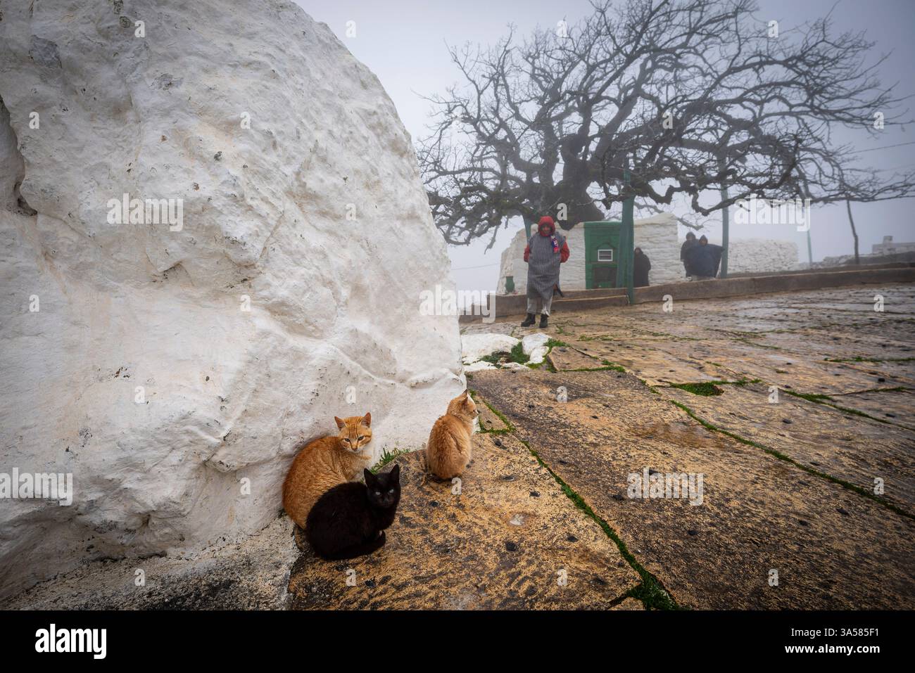 Tomb and shrine of Moulay Abdeslam ben Mchich, Moroccan Sufi saint ...