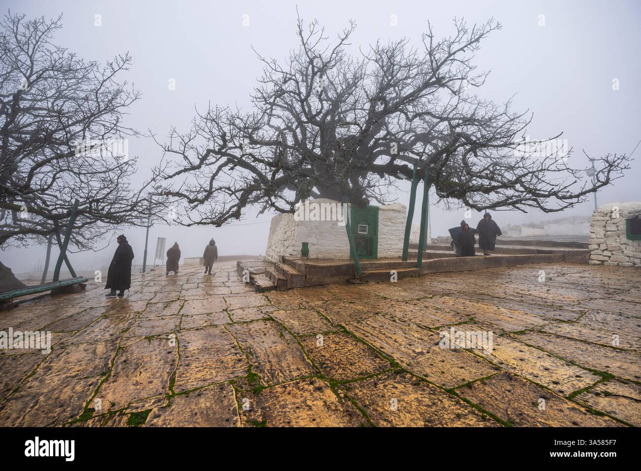 Tomb and shrine of Moulay Abdeslam ben Mchich, Moroccan Sufi saint ...