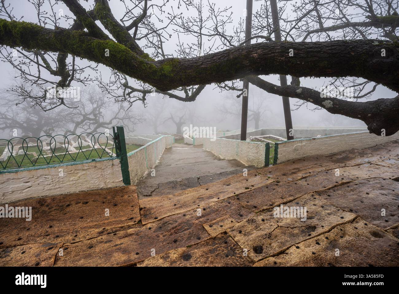 Tomb and shrine of Moulay Abdeslam ben Mchich, Moroccan Sufi saint ...