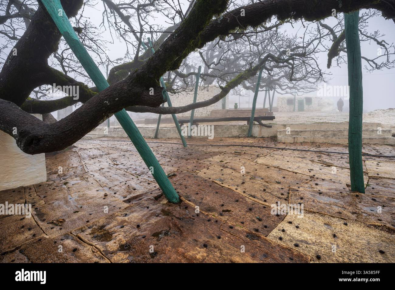 Tomb and shrine of Moulay Abdeslam ben Mchich, Moroccan Sufi saint ...