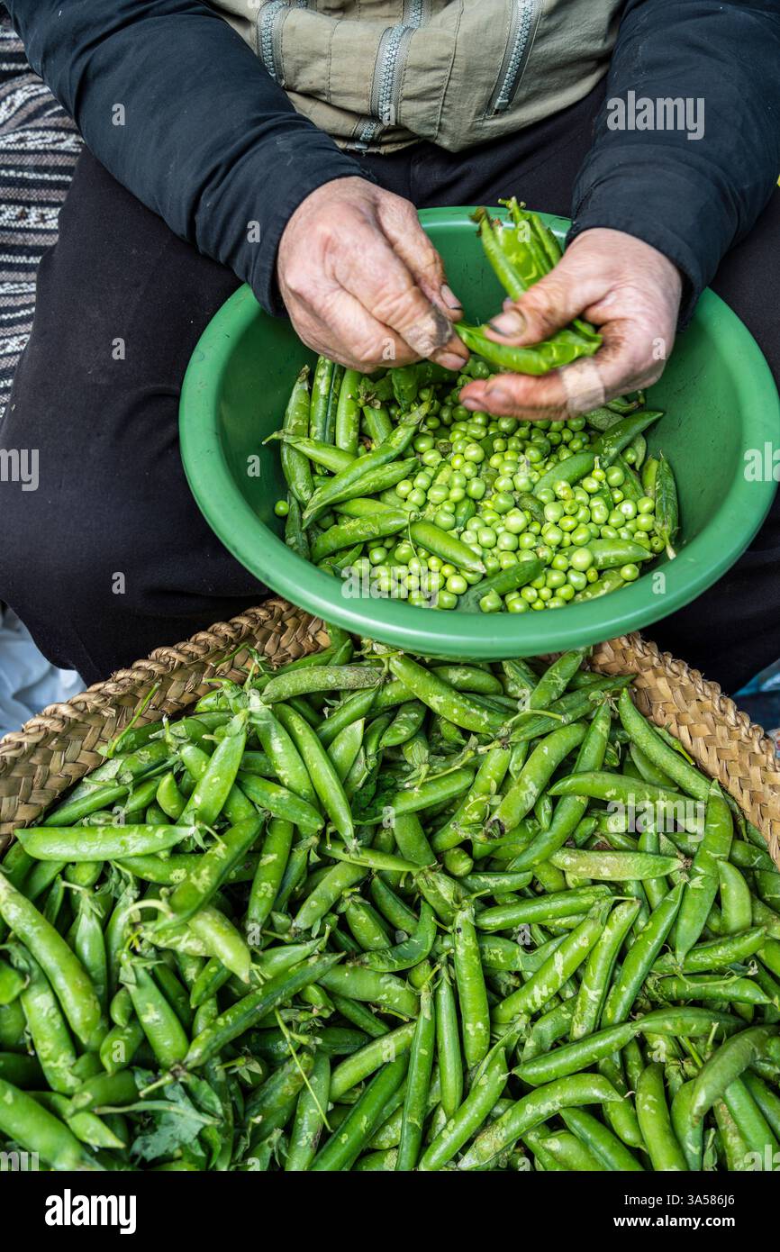 hands of a man peeling peas in the souk, Tetouan, Morocco, North Africa ...