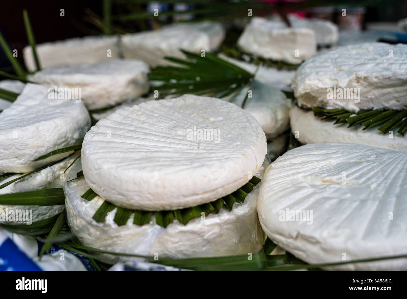 wafers of typical Rif cheese, Tetouan, Morocco, North Africa Stock ...