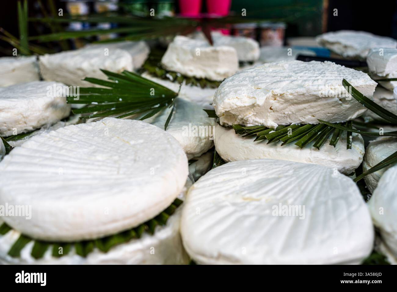 wafers of typical Rif cheese, Tetouan, Morocco, North Africa Stock ...