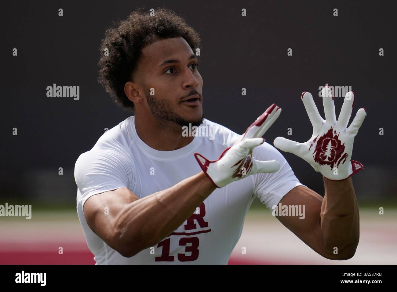 Wide receiver Elic Ayomanor during Stanford football Pro Day event in ...