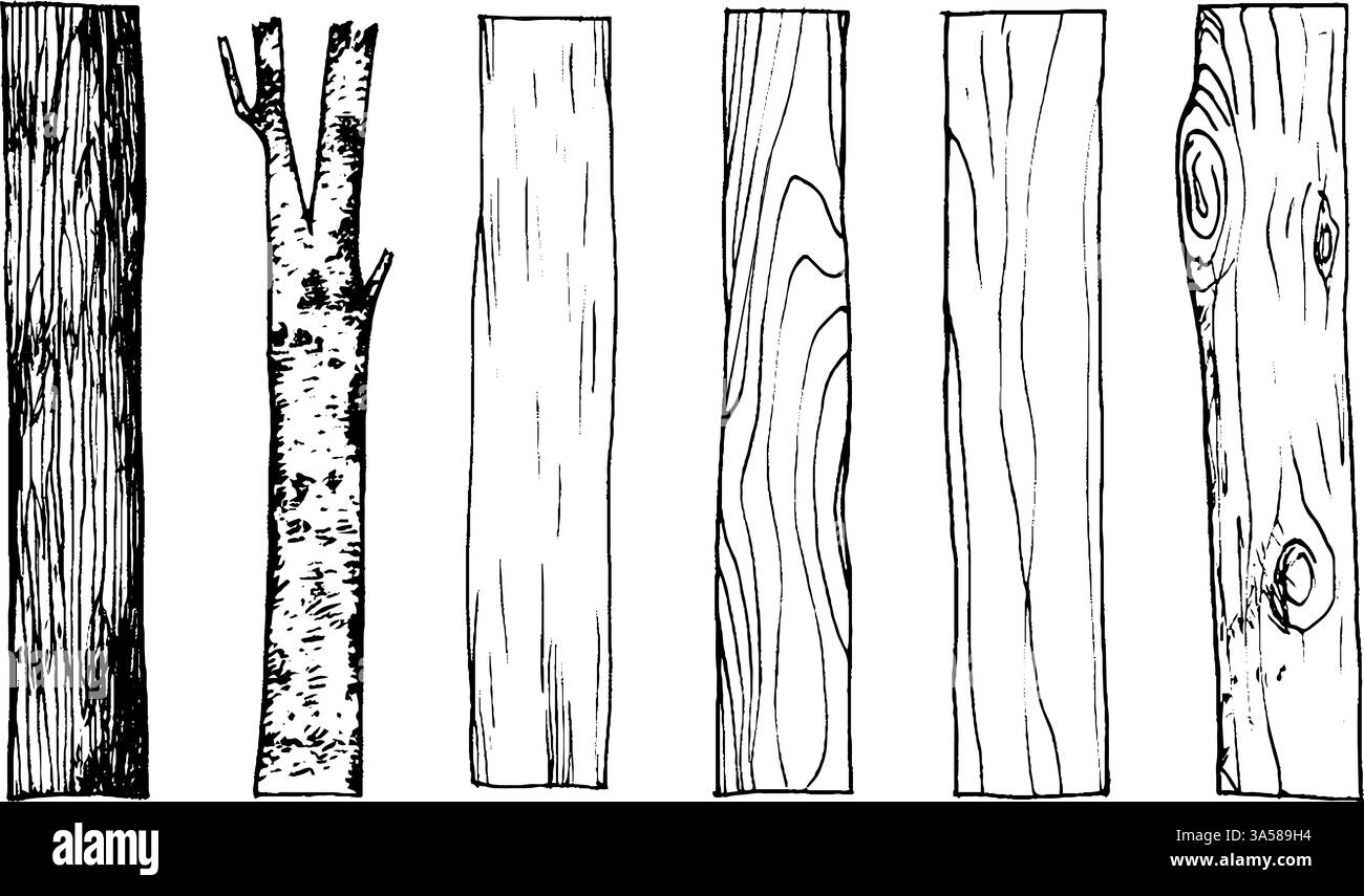 A collection of various types of wood planks and a branch, showcasing ...