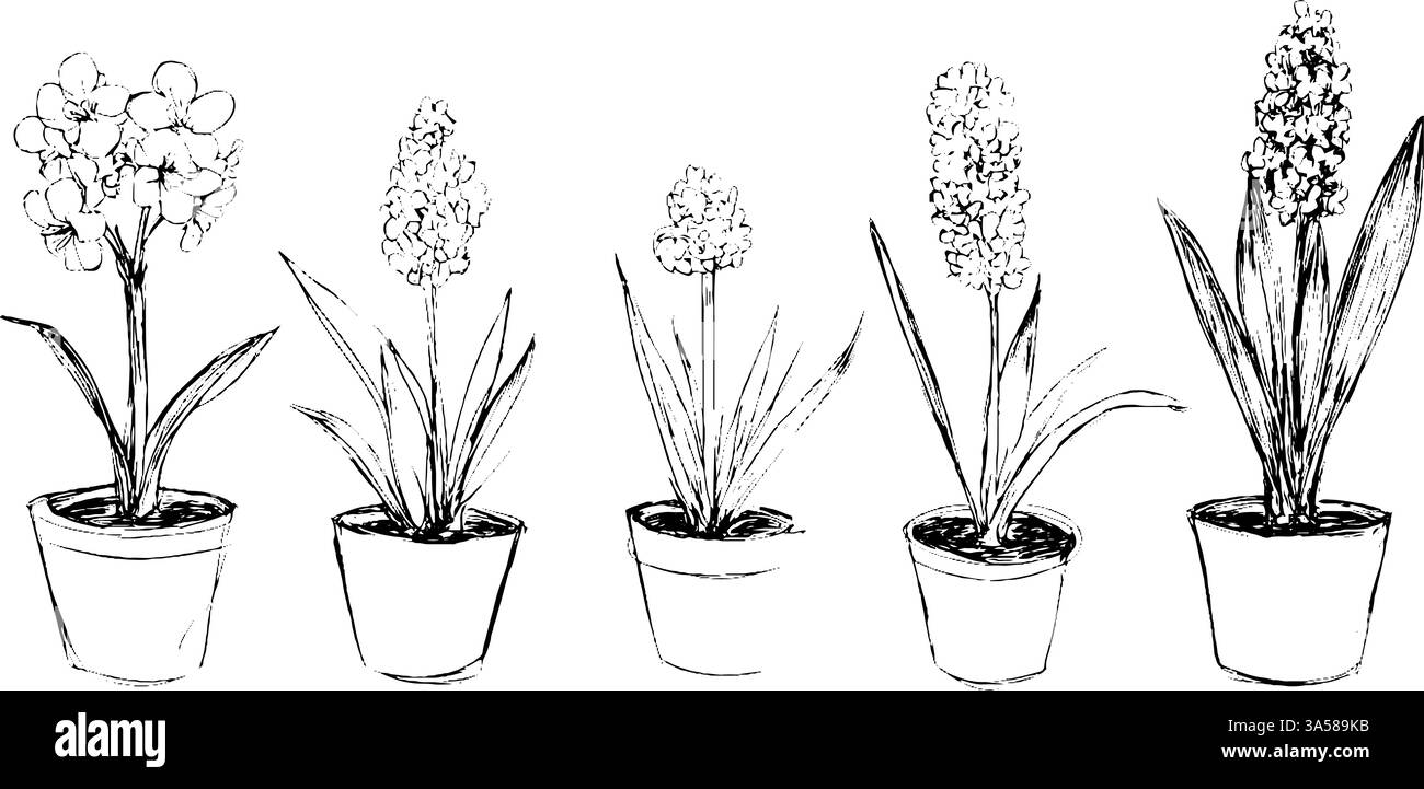 A series of five hand-drawn potted plants, showcasing different types ...
