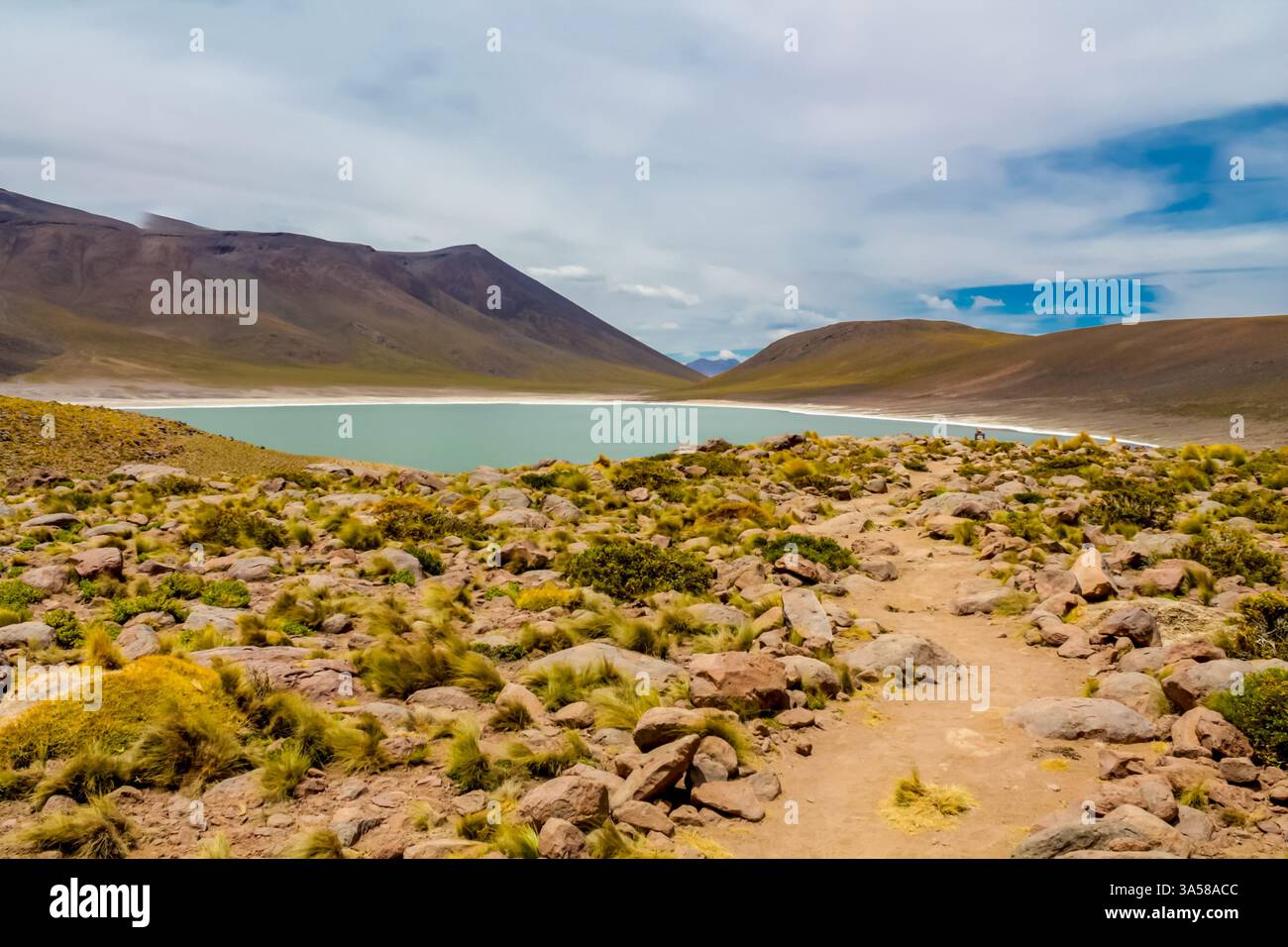 Lagunas altiplanicas Miniques and Miscanti in Chile Atacama desert near ...