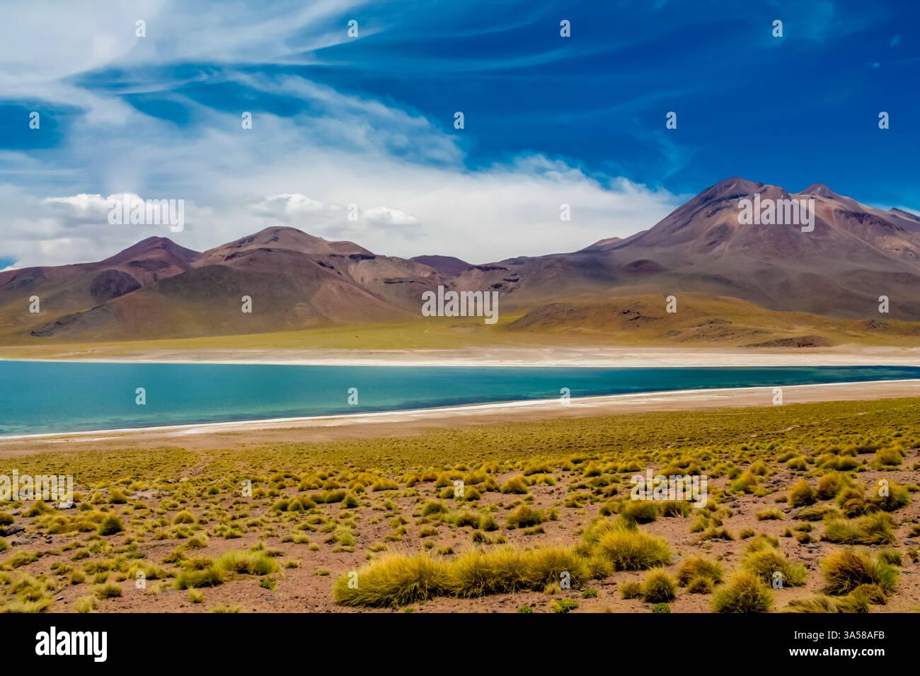 Lagunas altiplanicas Miniques and Miscanti in Chile Atacama desert near ...