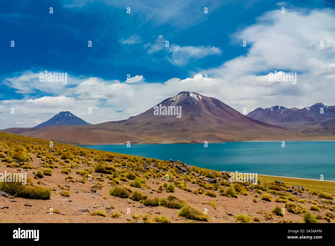 Lagunas altiplanicas Miniques and Miscanti in Chile Atacama desert near ...