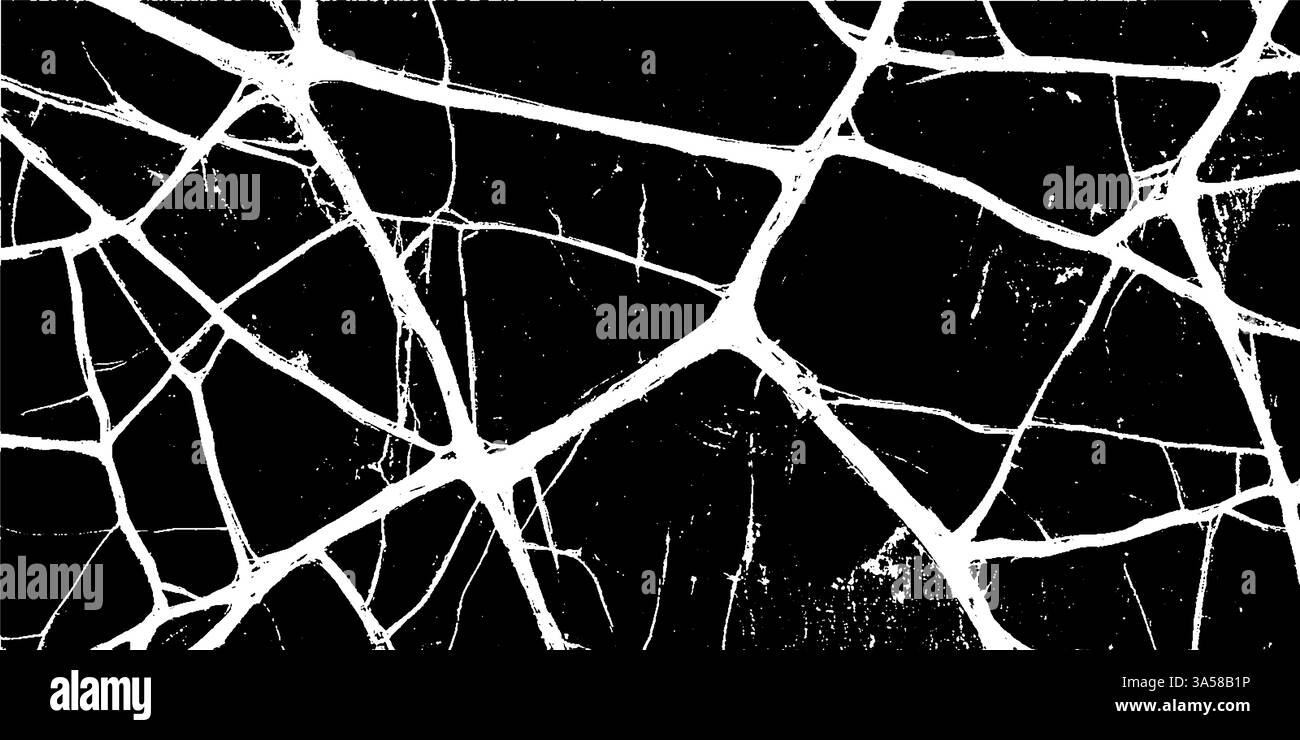 Intricate web of contrasting lines showcasing the beauty of black and ...