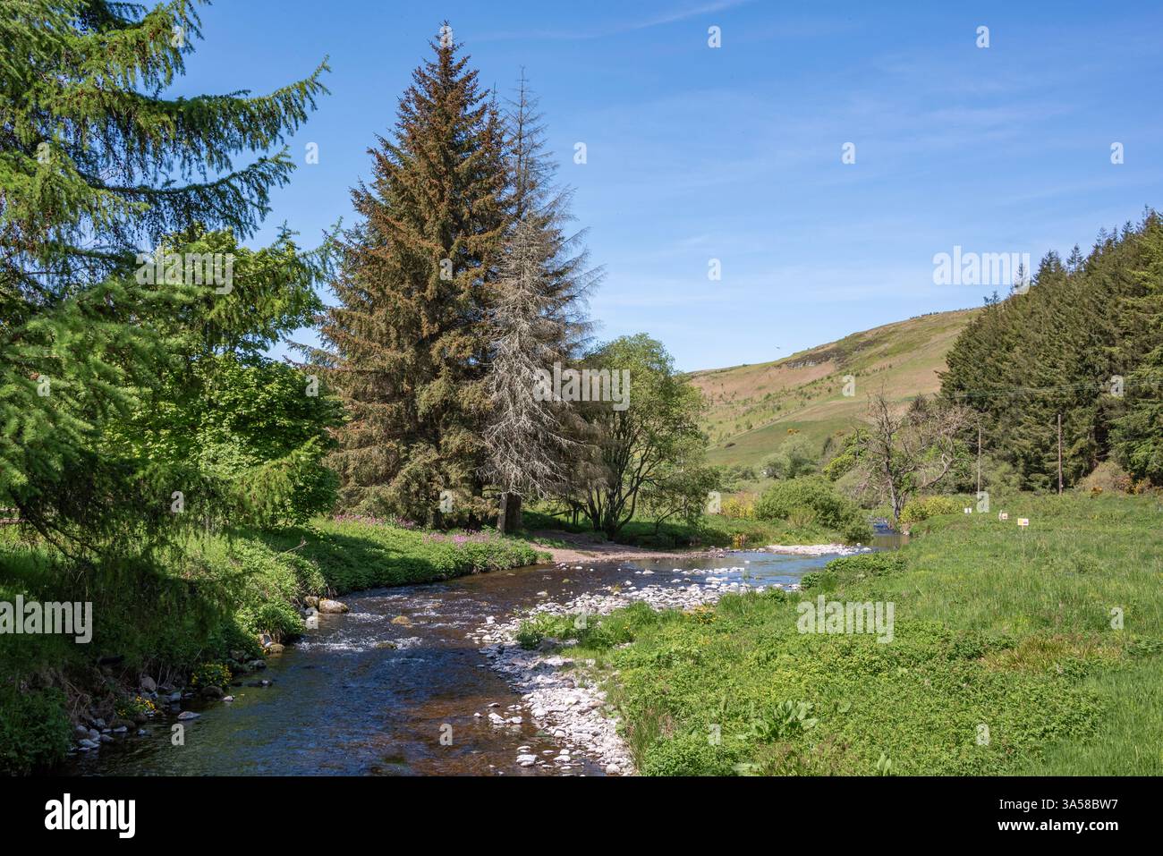 Hotel gleneagles devon hi-res stock photography and images - Alamy