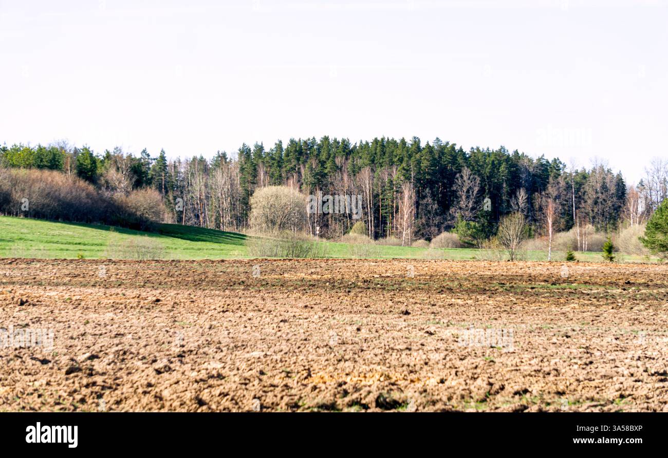 Vast expanses of forests and fields in early spring.Endless spaces and wonderful views Stock ...